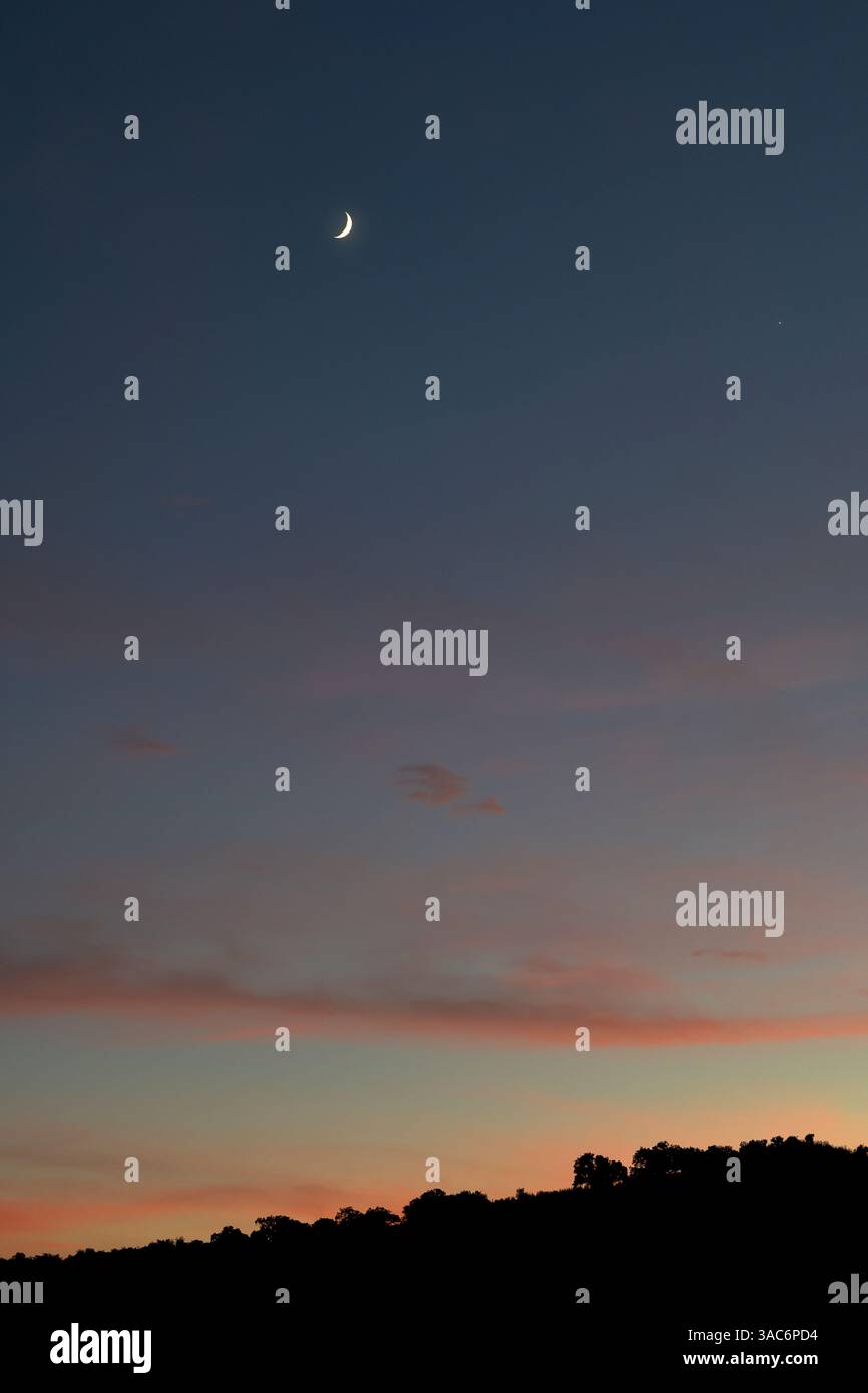 Crescent moon at sunset vertically with varied colors at dusk Stock ...