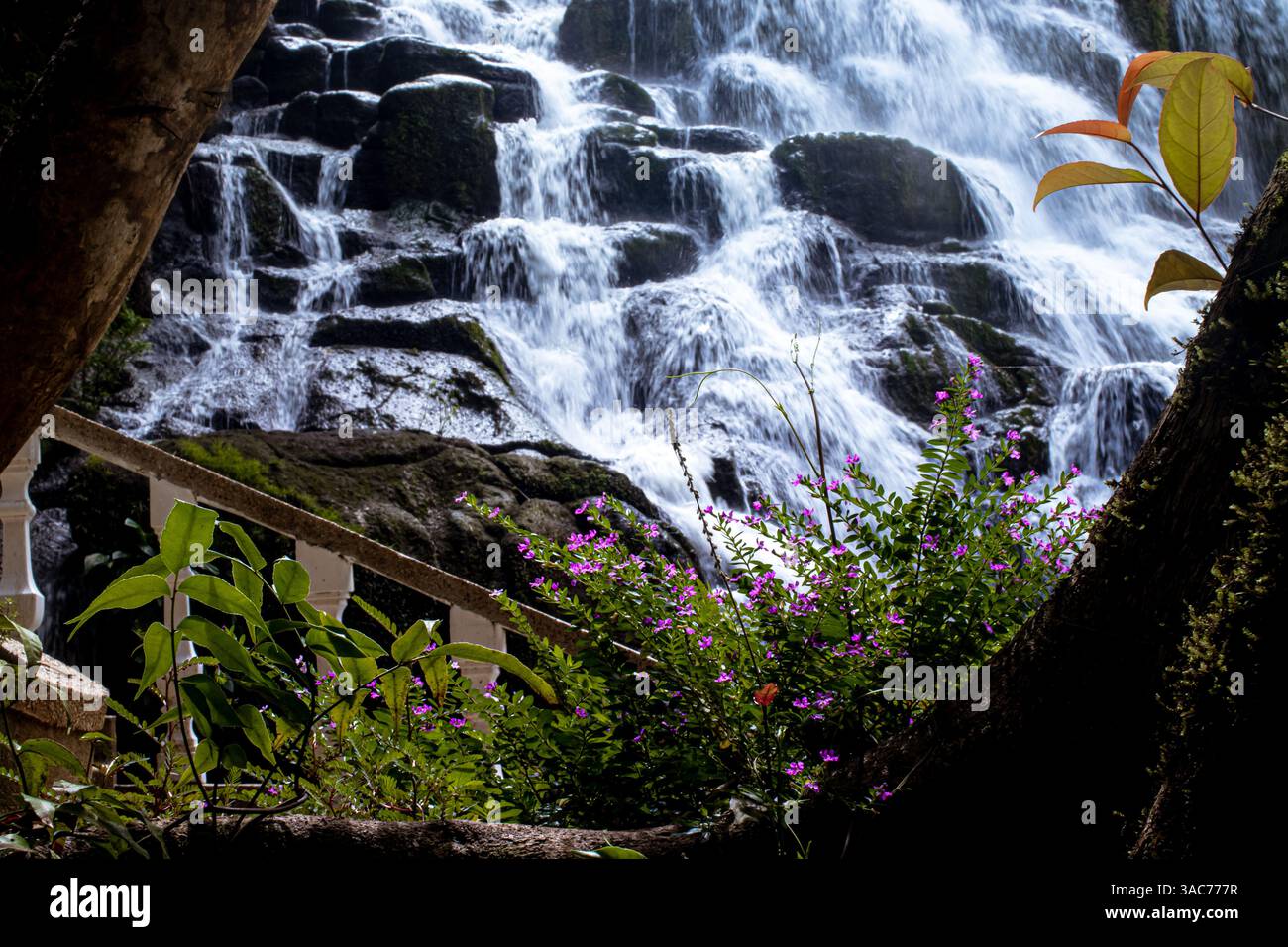 These photos were taken in Laguna, Philippines. The waterfall was ...