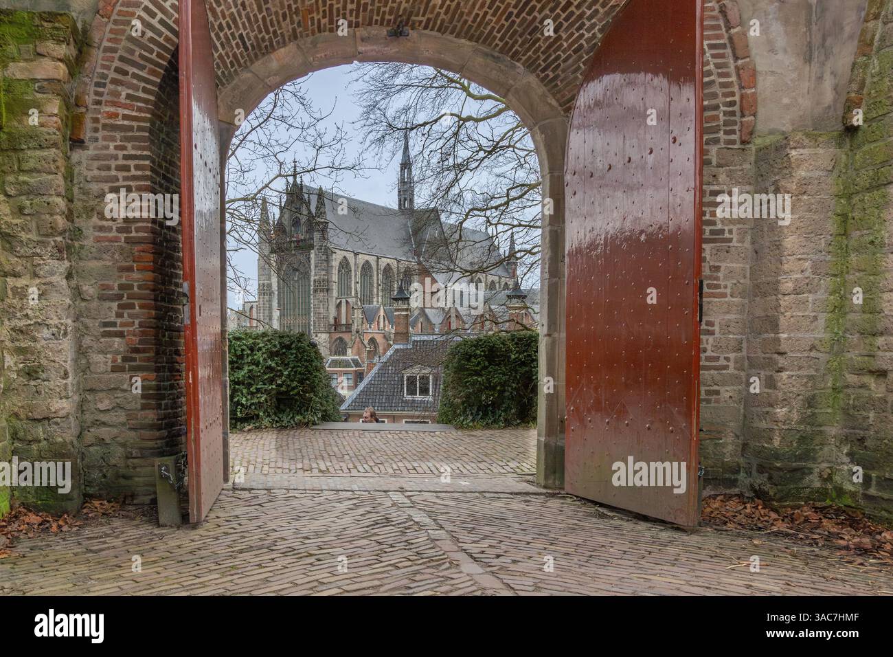 View of the Pieterskerk church in Leiden through the gate doors of the ...