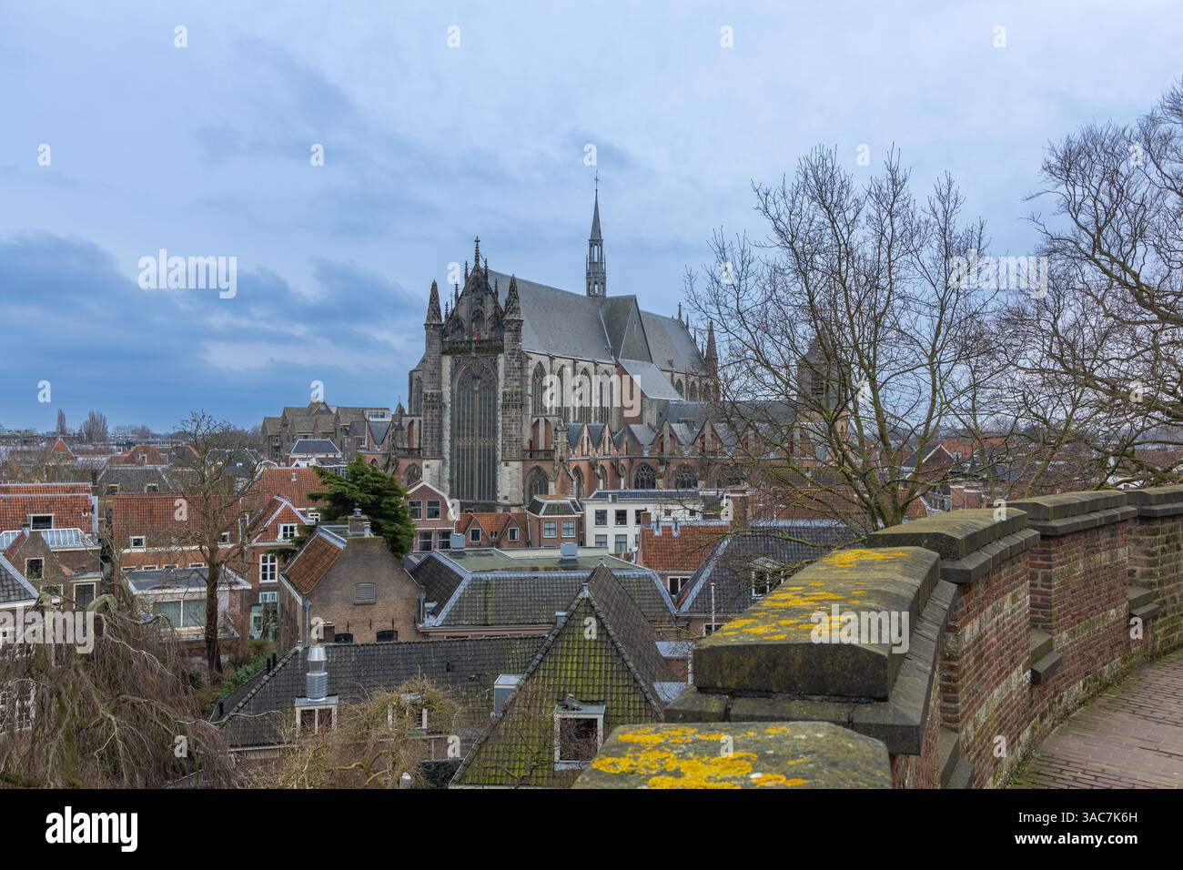 Pieterskerk a Church in a Dutch city Leiden in The Netherlands and ...