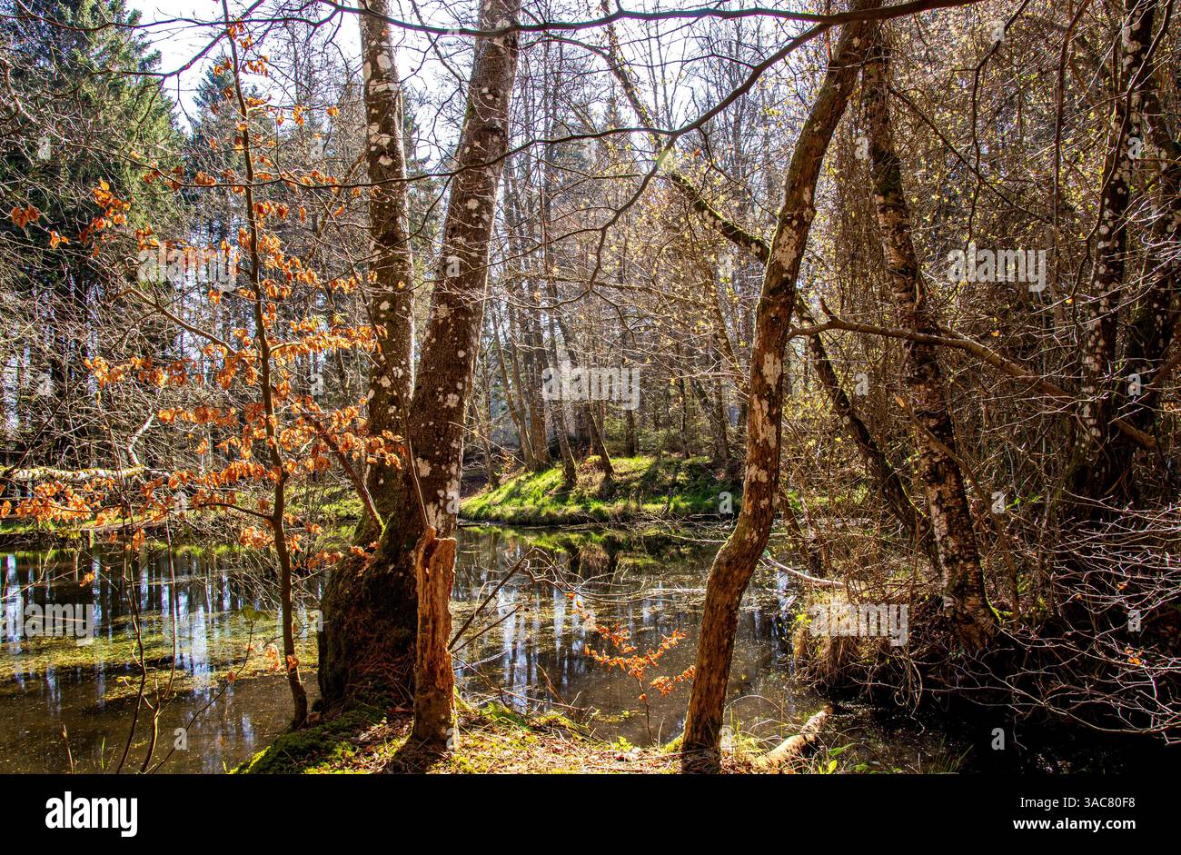 Dundee, Tayside, Scotland, UK. 3rd Apr, 2025. UK Weather: Warm bright ...