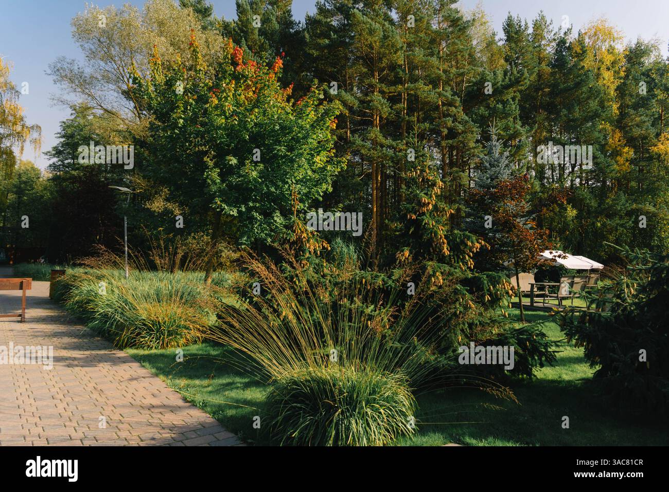 Shady shaded seating areas hi-res stock photography and images - Alamy