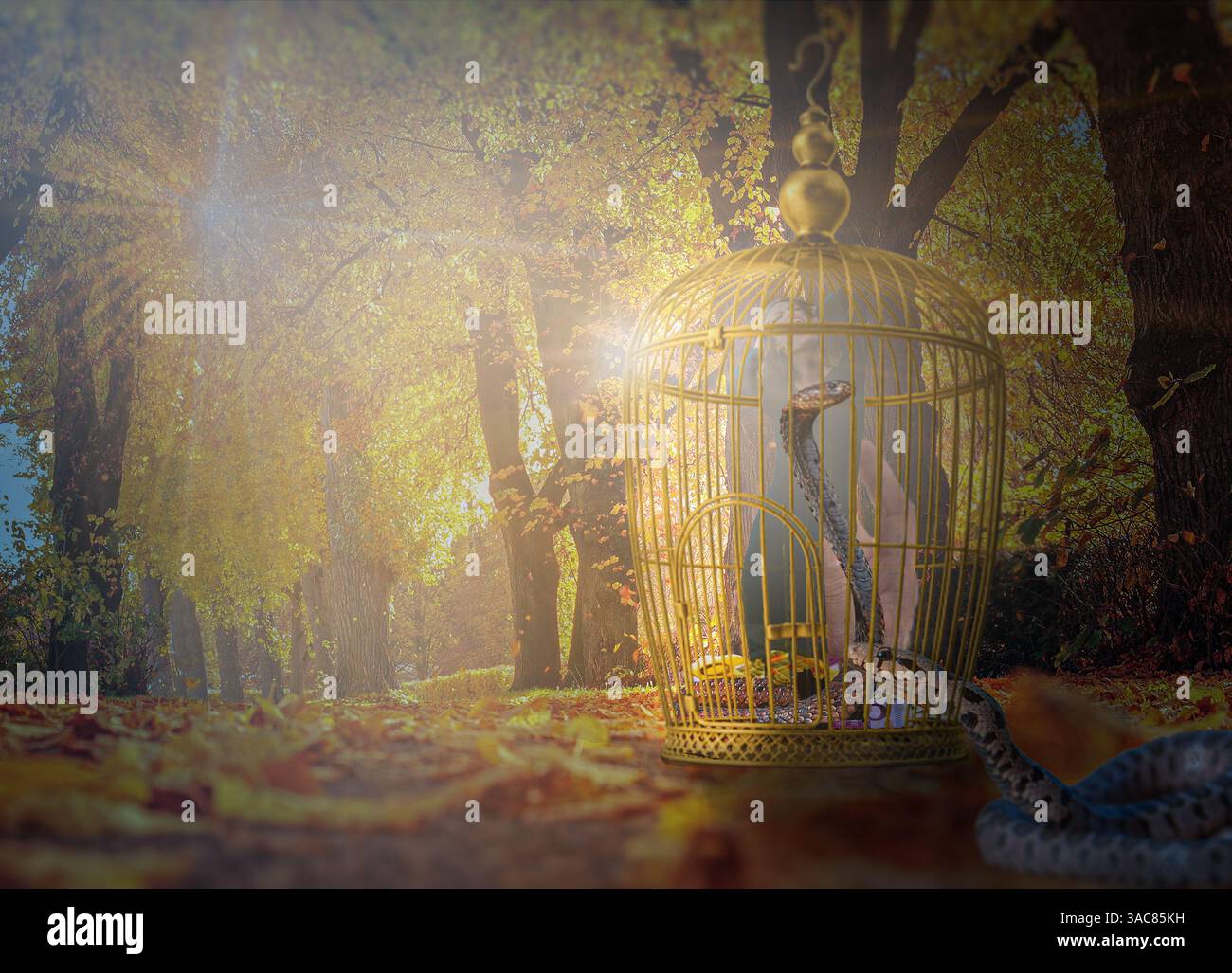 Kfig hi-res stock photography and images - Alamy