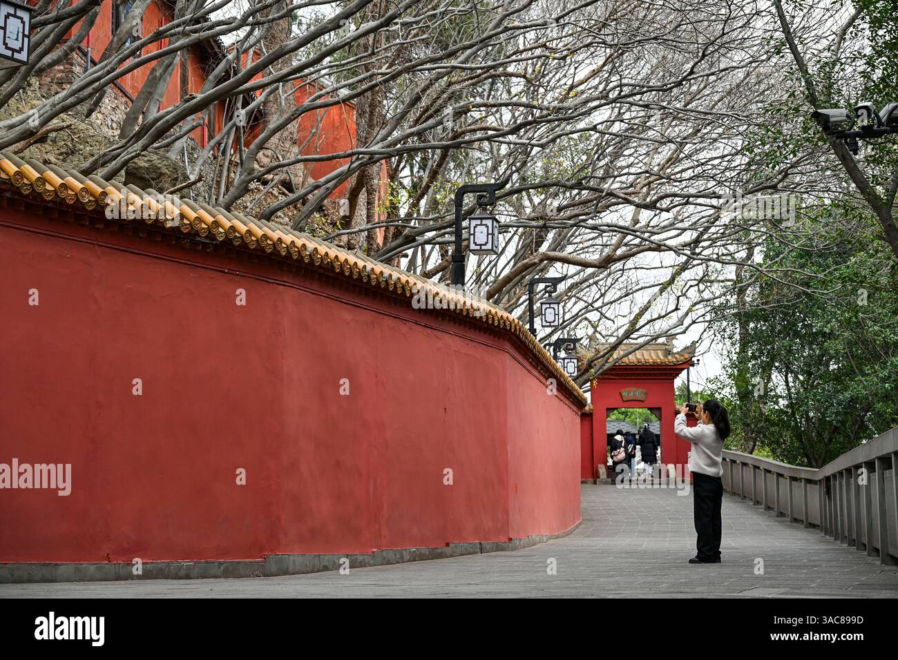(250403) -- CHONGQING, April 3, 2025 (Xinhua) -- A tourist takes photos ...