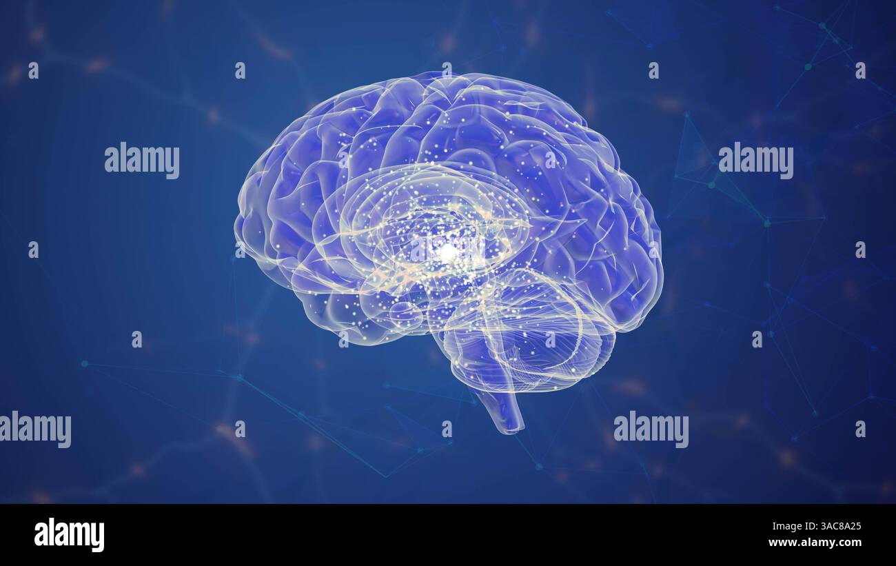 Electrical Signals in the Brains Neuron Network Stock Photo - Alamy