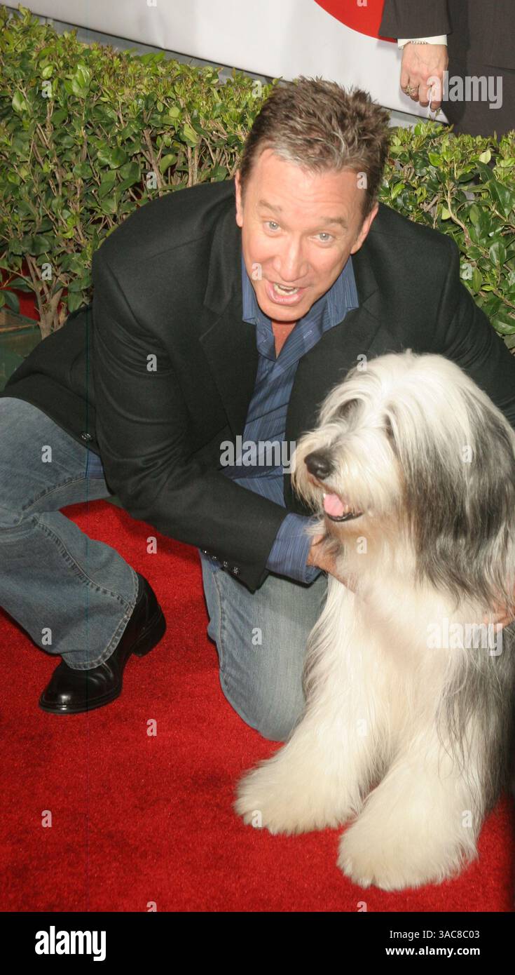 Tim Allen and Coal (The Shaggy Dog)arrives at Walt Disney's Premiere of ...