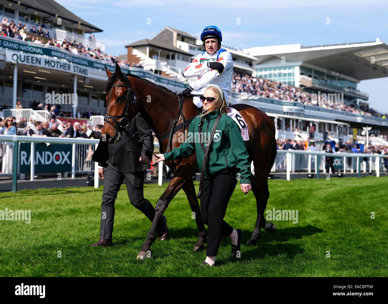 Live Conti ridden by Harry Skelton after the Boodles Anniversary 4-Y-O ...