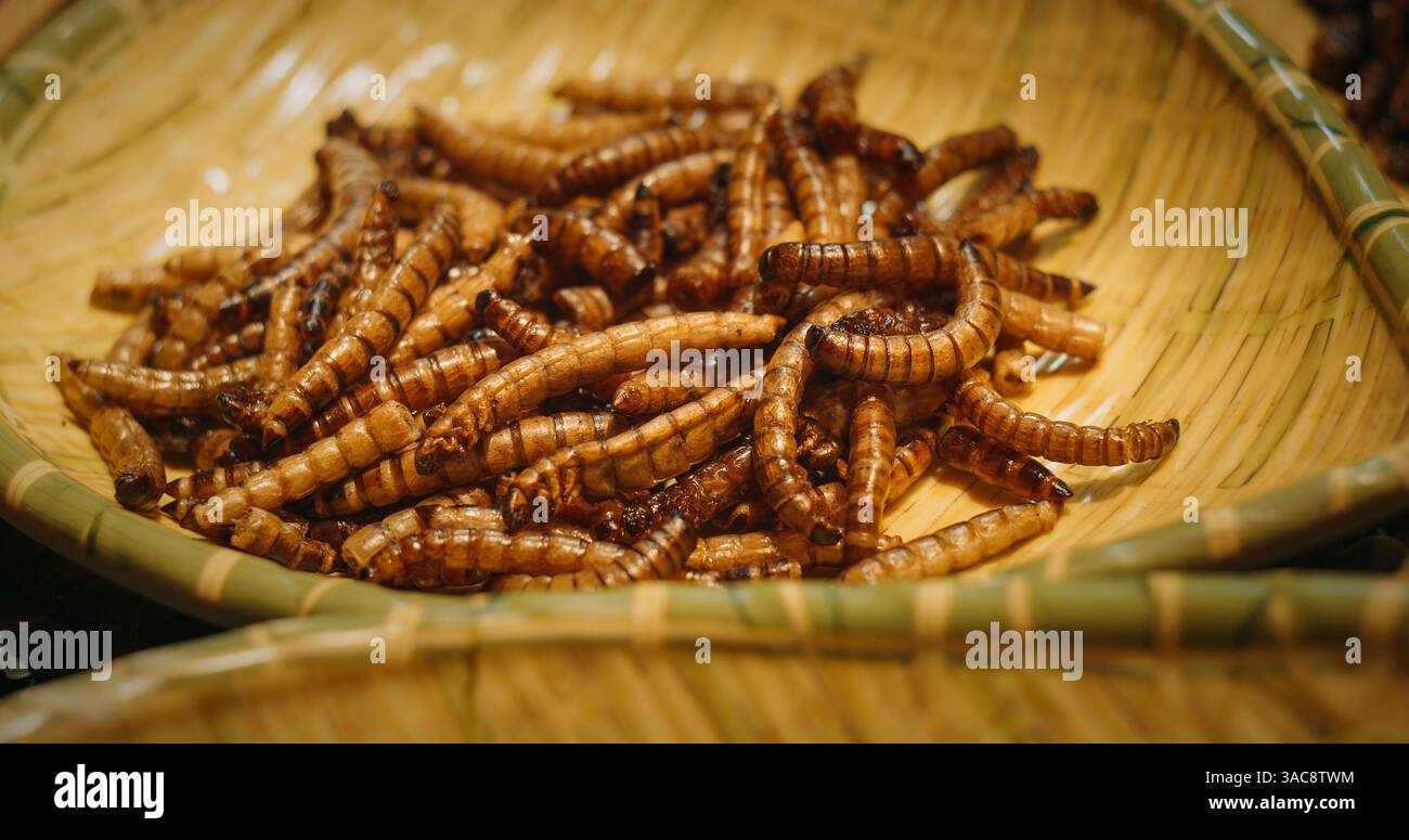 Chengdu, Sichuan, China. Fried Mealworm Larvae. Street Roasted Mealworm ...