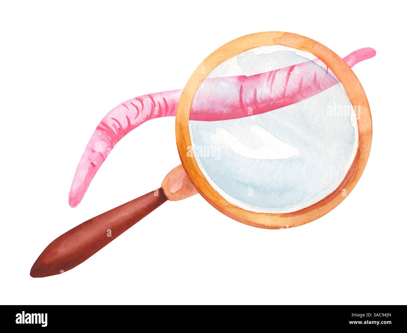 Watercolor worm hi-res stock photography and images - Alamy