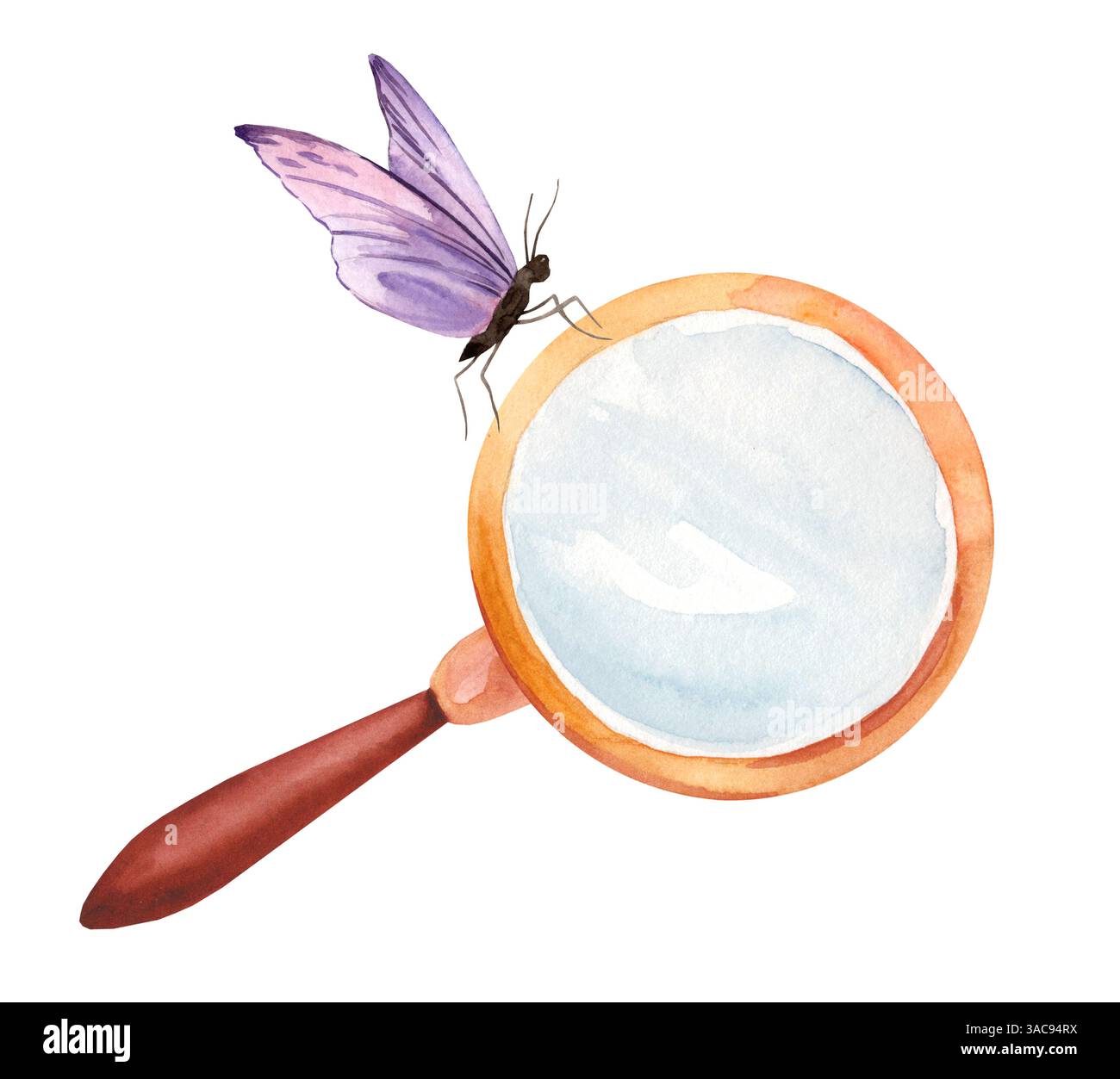 Watercolor illustration of beautiful butterfly under a vintage ...