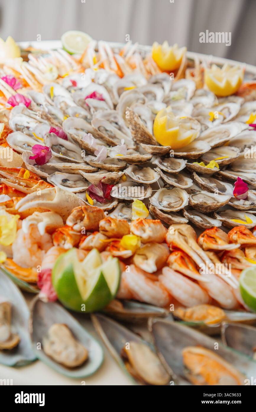 A lavish seafood display showcases an array of fresh oysters, shrimp ...