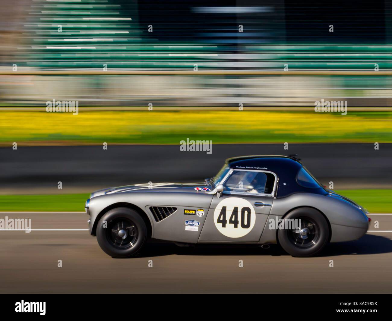 Austin Healey 3000 racing car, 82 Members Meeting testing, Goodwood ...