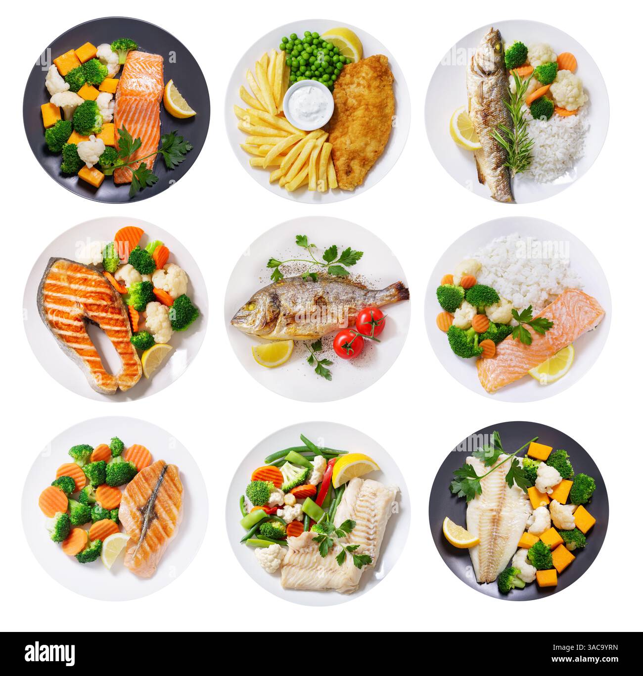 Set of plates of meals of fish isolated on white background, top view ...