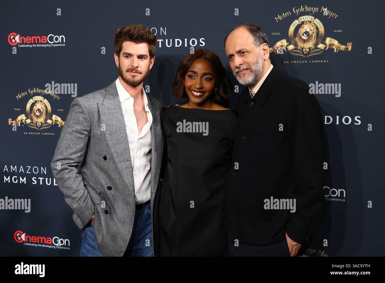 Nv. 02nd Apr, 2025. Andrew Garfield, Ayo Edebiri, Director Luca ...