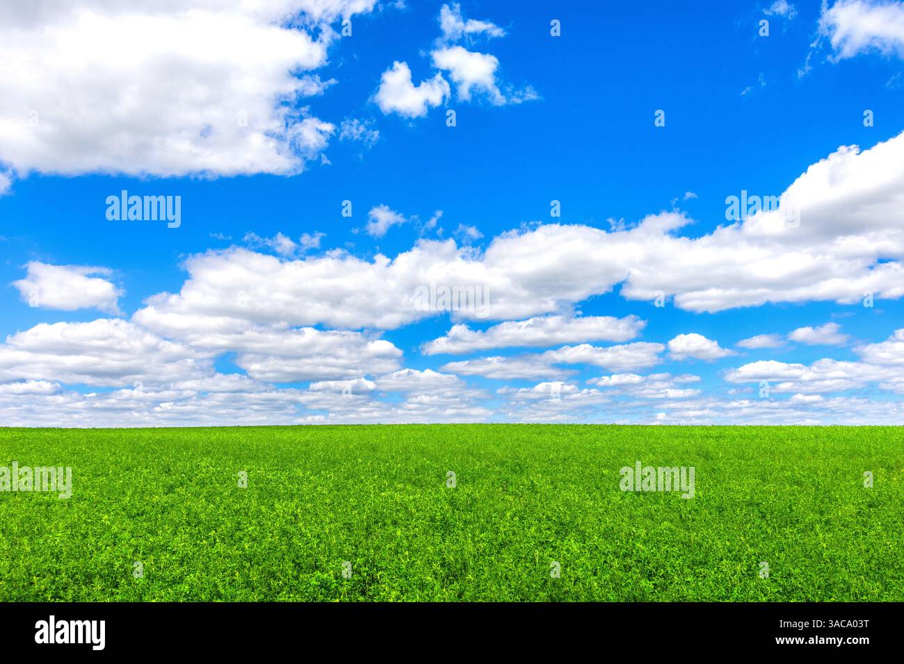Green manure sky in hi-res stock photography and images - Alamy