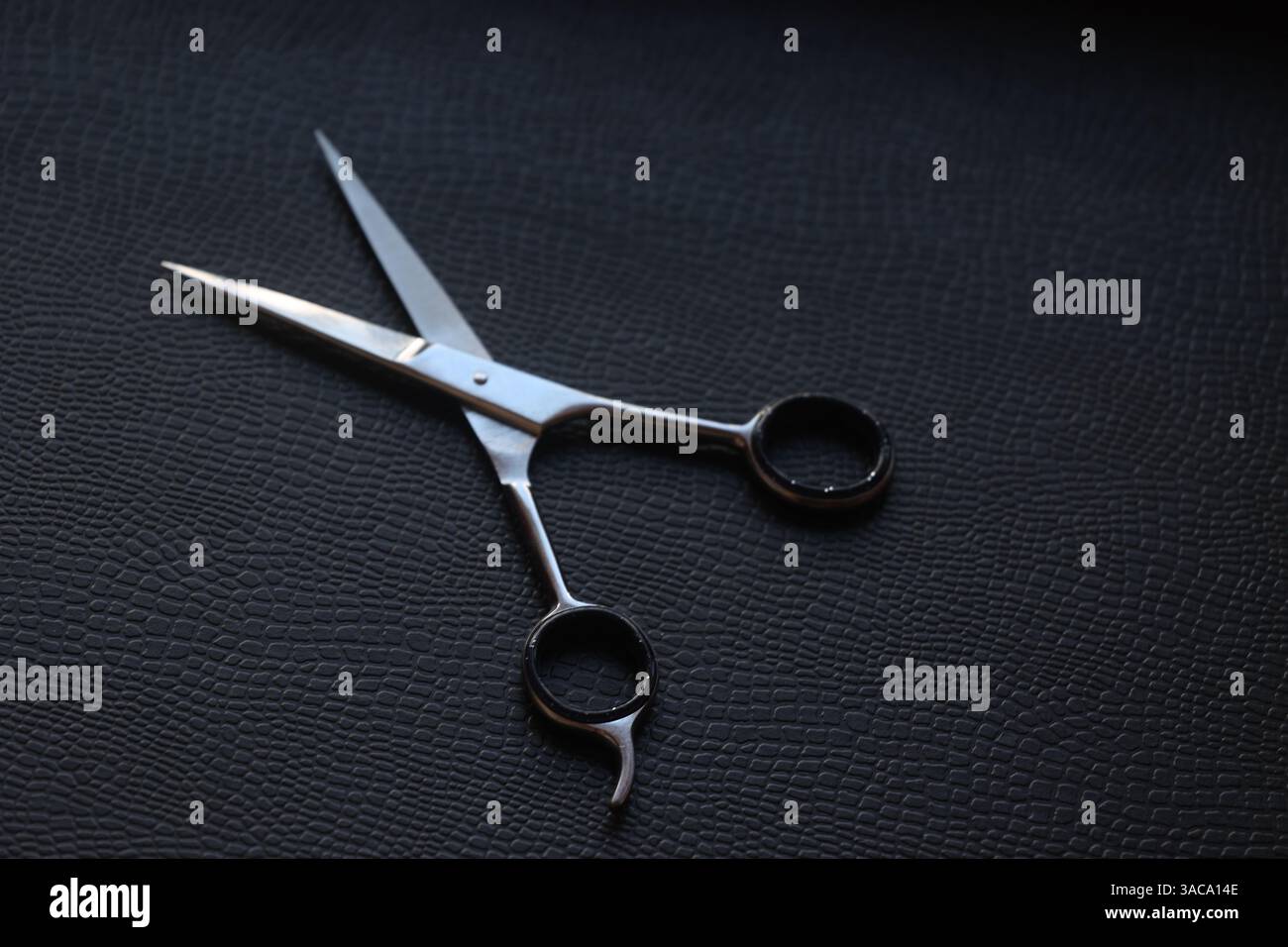 Beauty professionals hi-res stock photography and images - Alamy