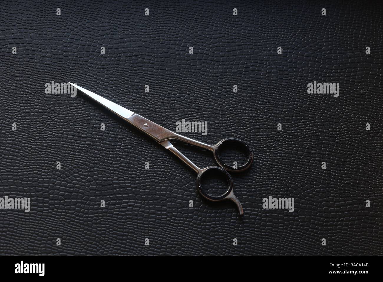 Beauty professionals hi-res stock photography and images - Alamy