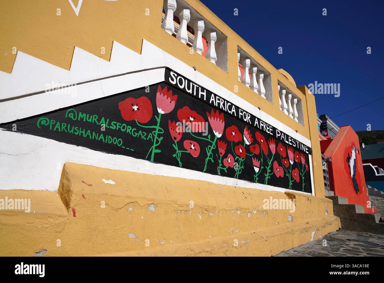 Angel for Gaza, Palestine support murals in the Bo-Kaap, Cape Town ...