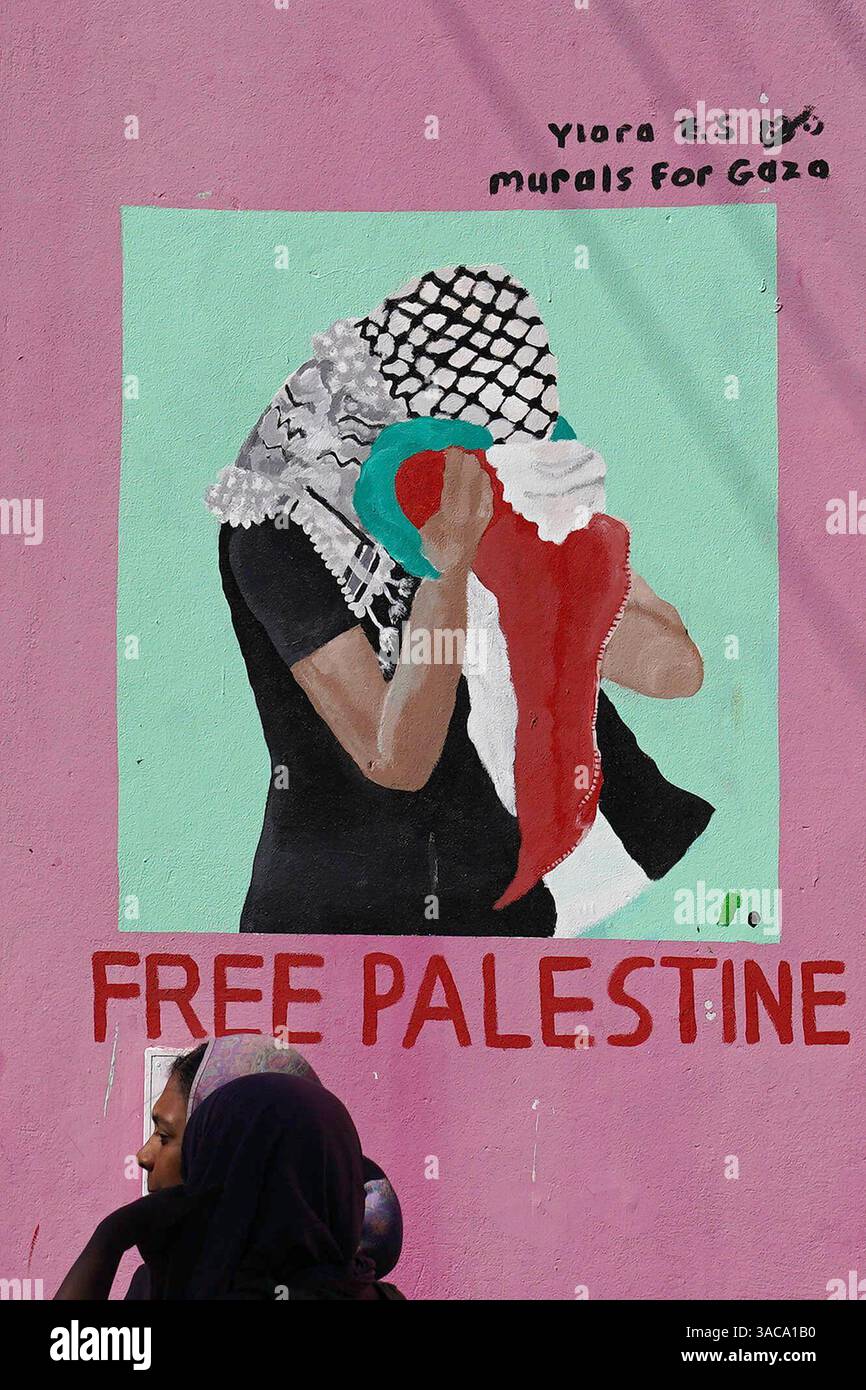 Angel for Gaza, Palestine support murals in the Bo-Kaap, Cape Town ...