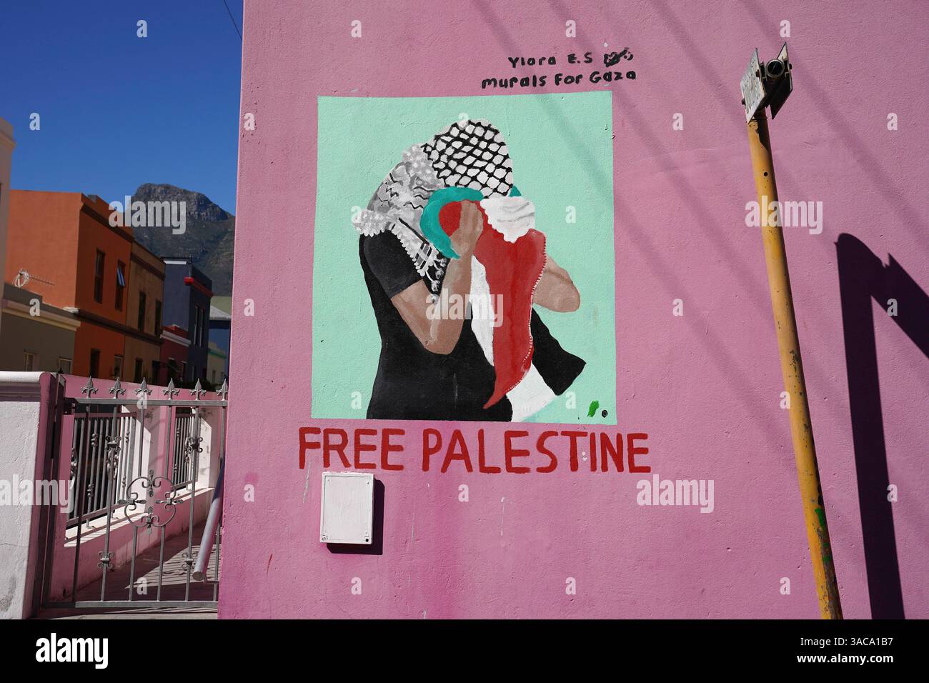 Angel for Gaza, Palestine support murals in the Bo-Kaap, Cape Town ...