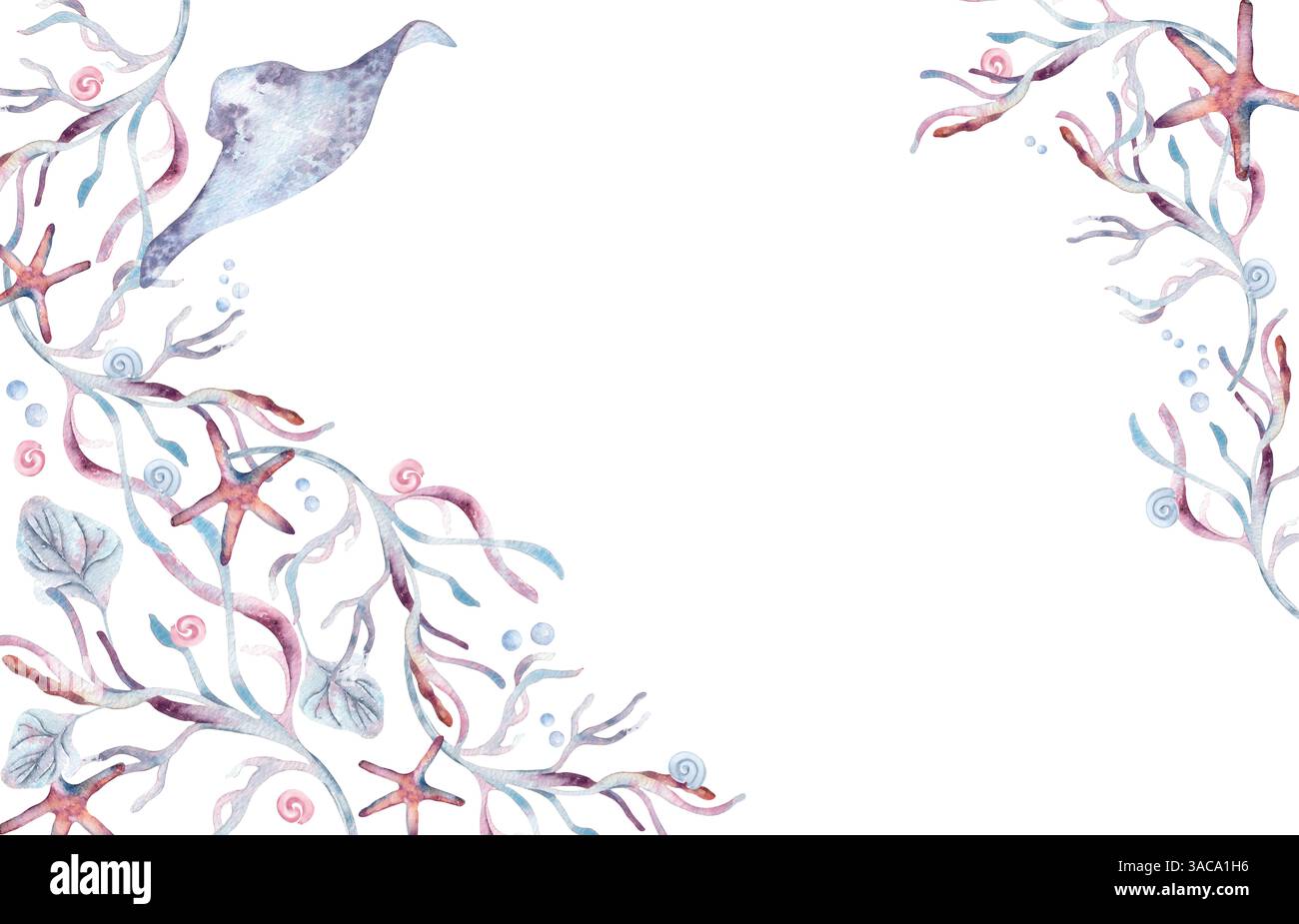Pink seaweeds and blue stingray aquatic monochrome banner watercolor ...