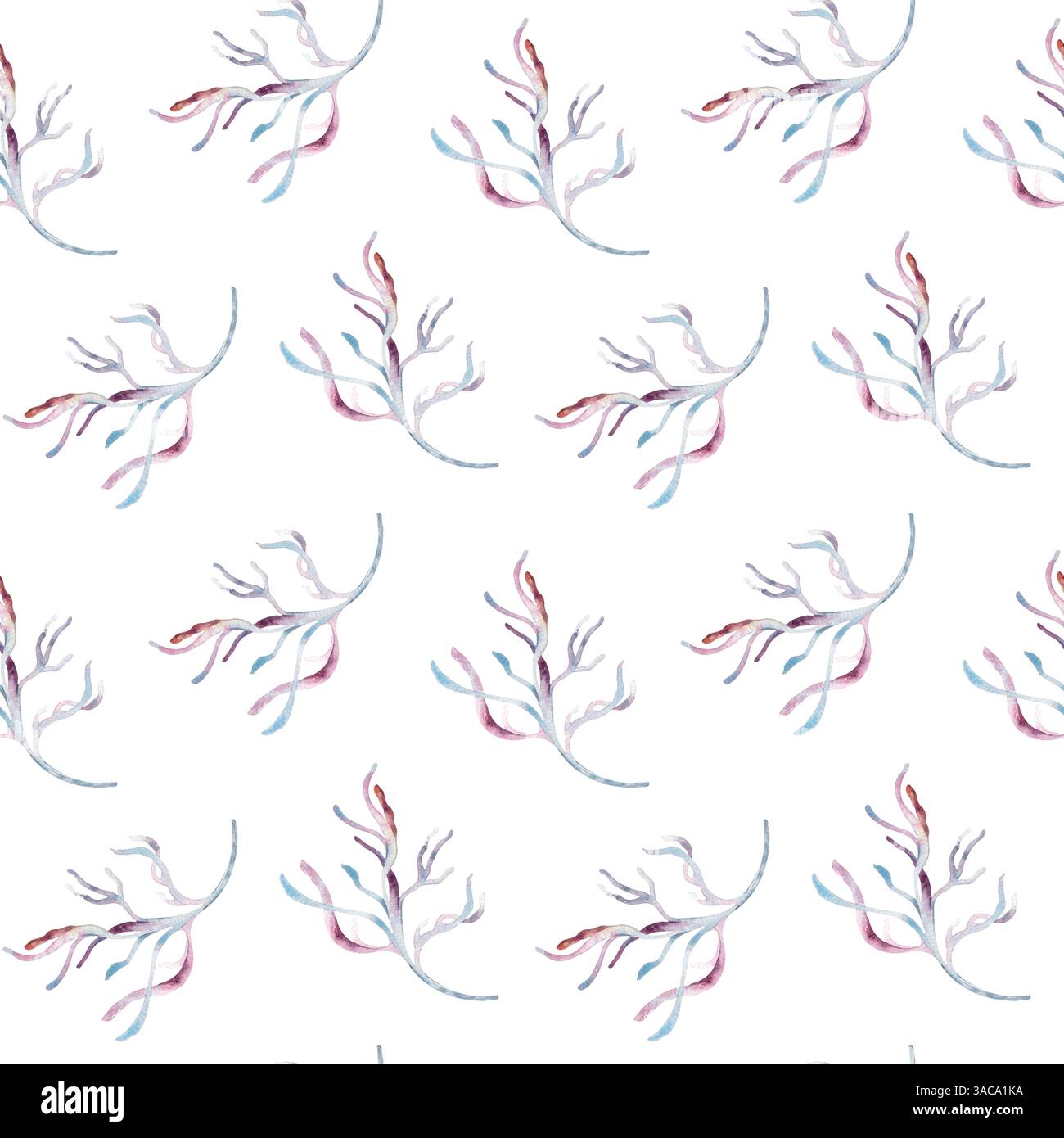 Seaweeds branches sea in hi-res stock photography and images - Alamy