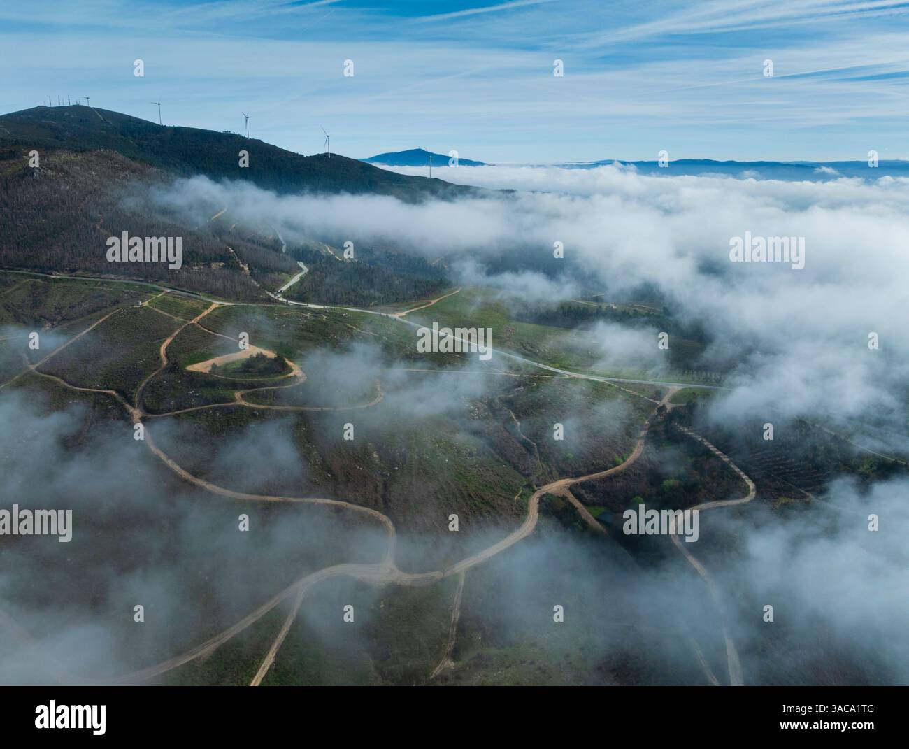 Aerial view of land on Mount Xiabre prepared for timber exploitation ...