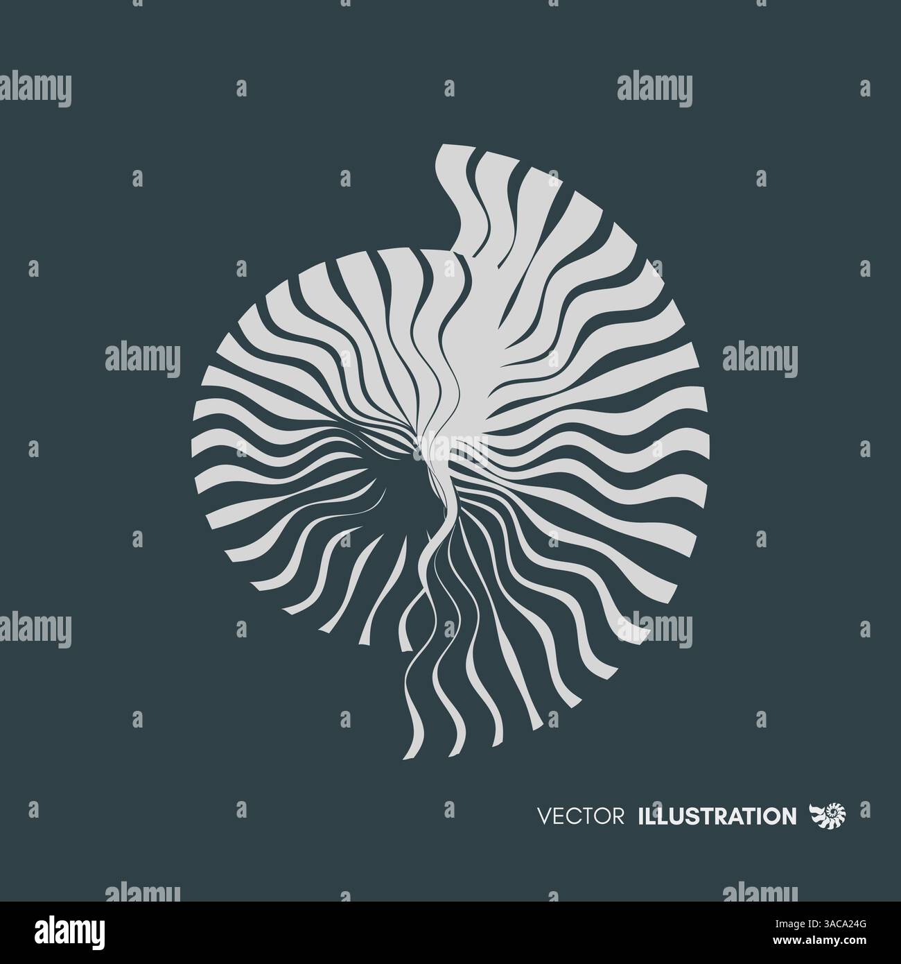 Nautilus shell. Abstract design element. 3D vector illustration Stock Vector Image & Art - Alamy