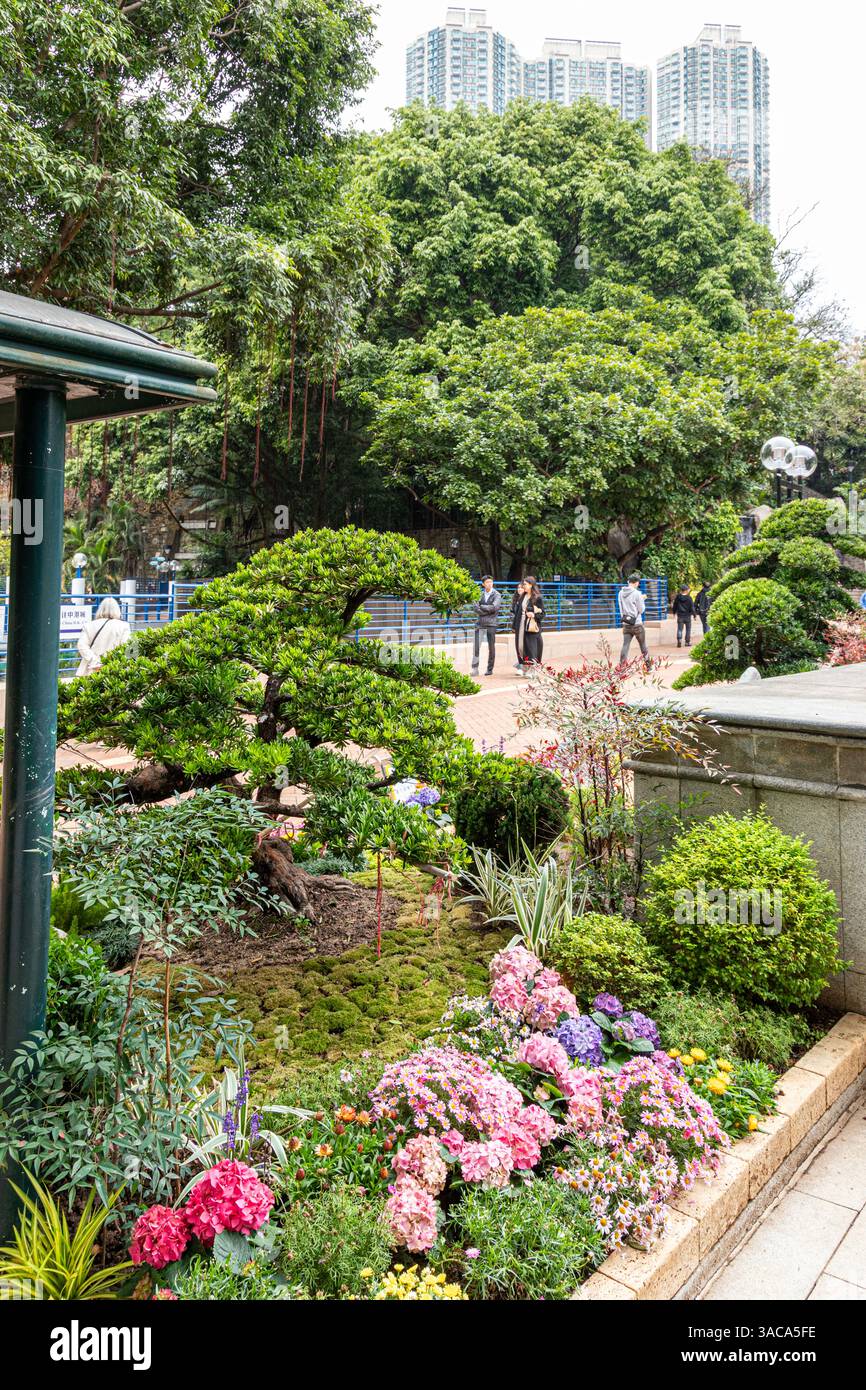 Hong kong public spaces hi-res stock photography and images - Alamy