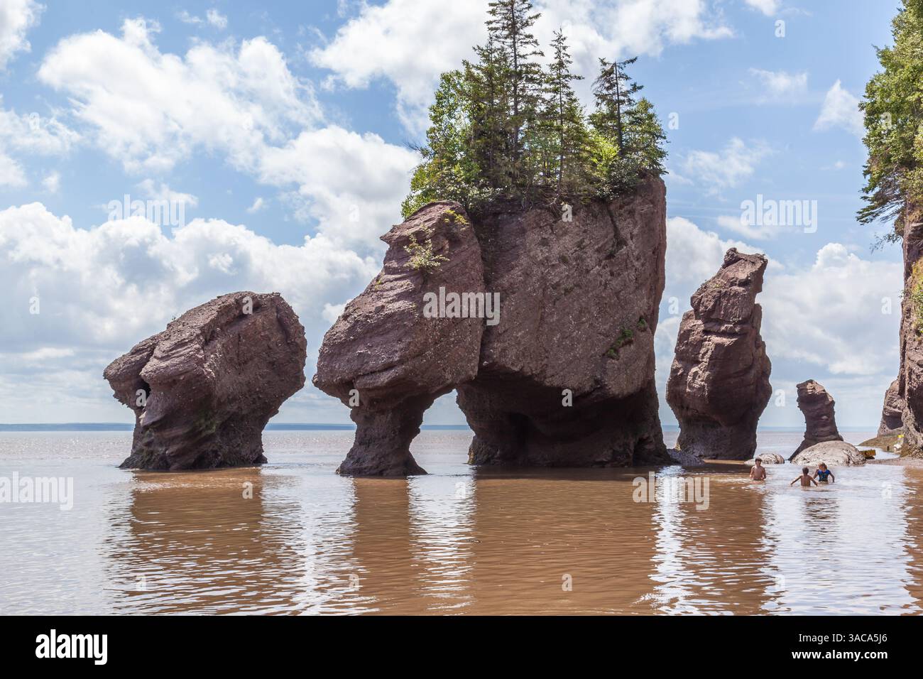 View of Hopewell rocks, also called the Flowerpots Rocks, caused by ...