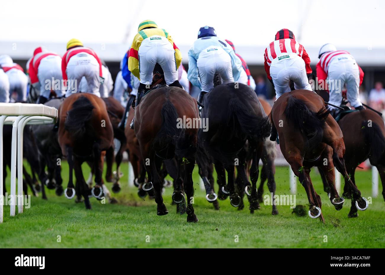 Grand national race horse 2025 hi-res stock photography and images - Alamy