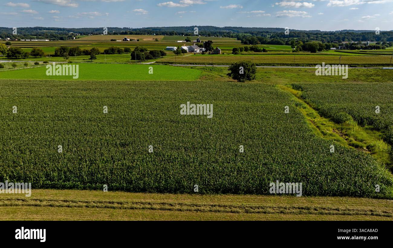 Lush green fields stretch across the landscape, dotted with farm ...