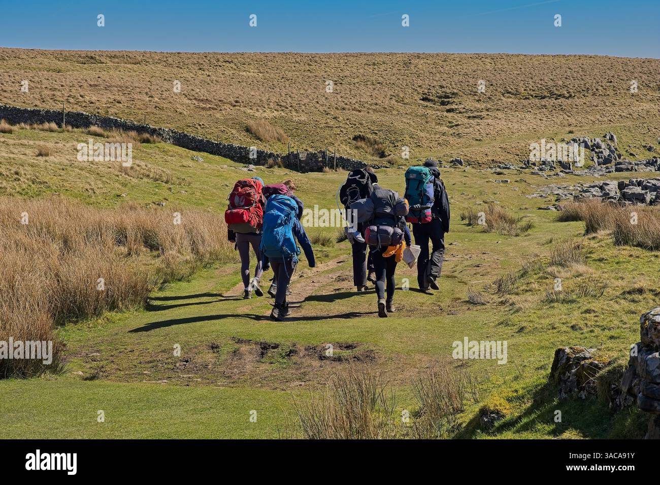 Group of young people backpacking and hiking for the Duke of Edinburgh ...