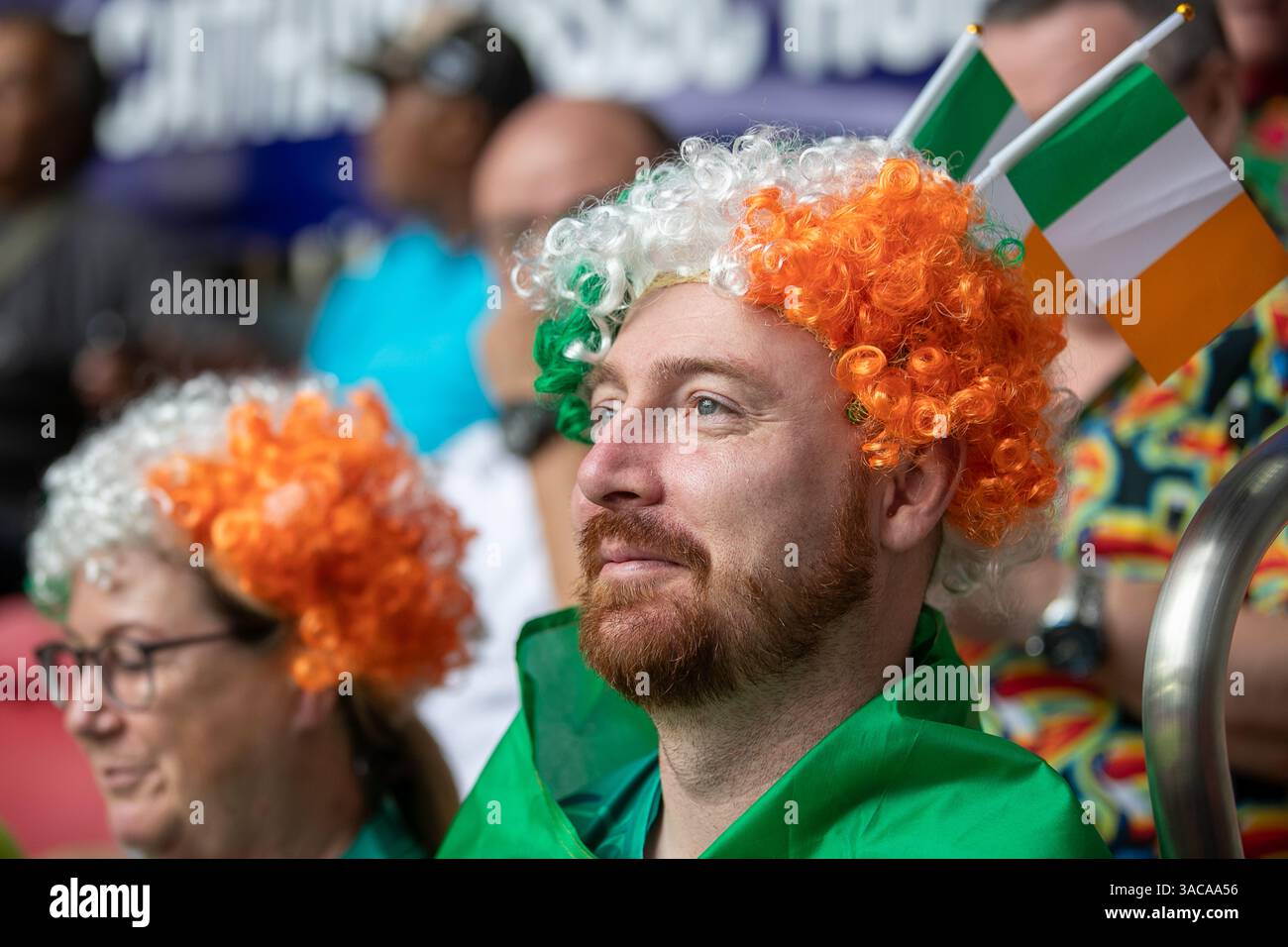 Fans dressed in various costumes during the Hong Kong Sevens at Kai Tak ...