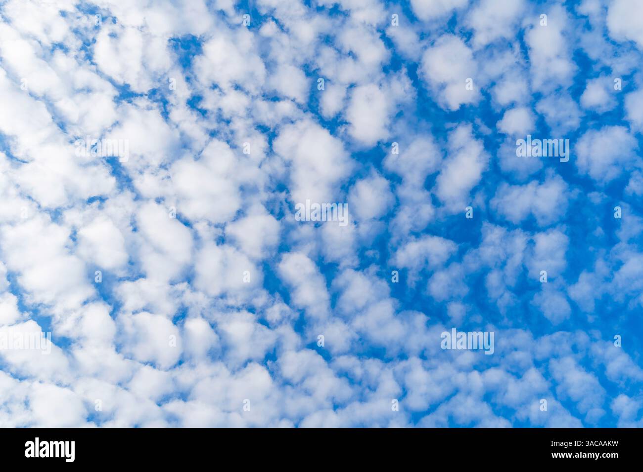 Blue sky with altocumulus clouds as background Stock Photo - Alamy