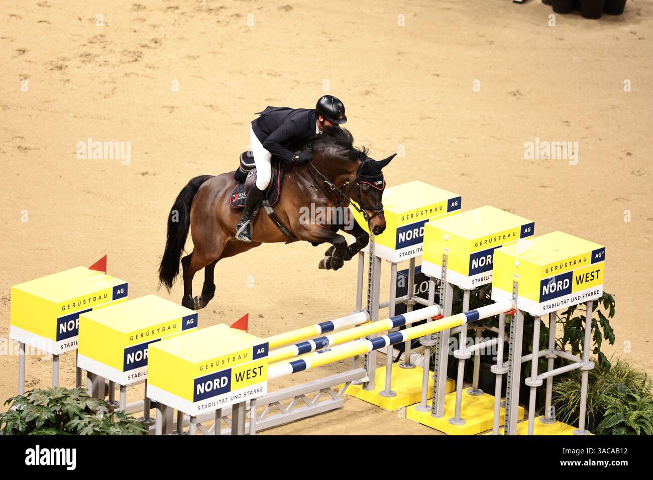 Alain Jufer of Switzerland with Dante MM during the Prize of Land Rover ...