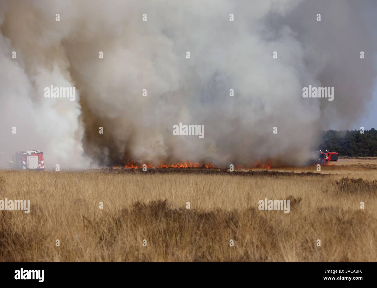 EDE - A wildfire is raging in a moorland area northeast of the town of ...
