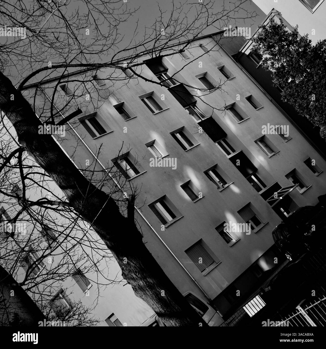 Tilted black and white image of multiple light spots falling on the ...