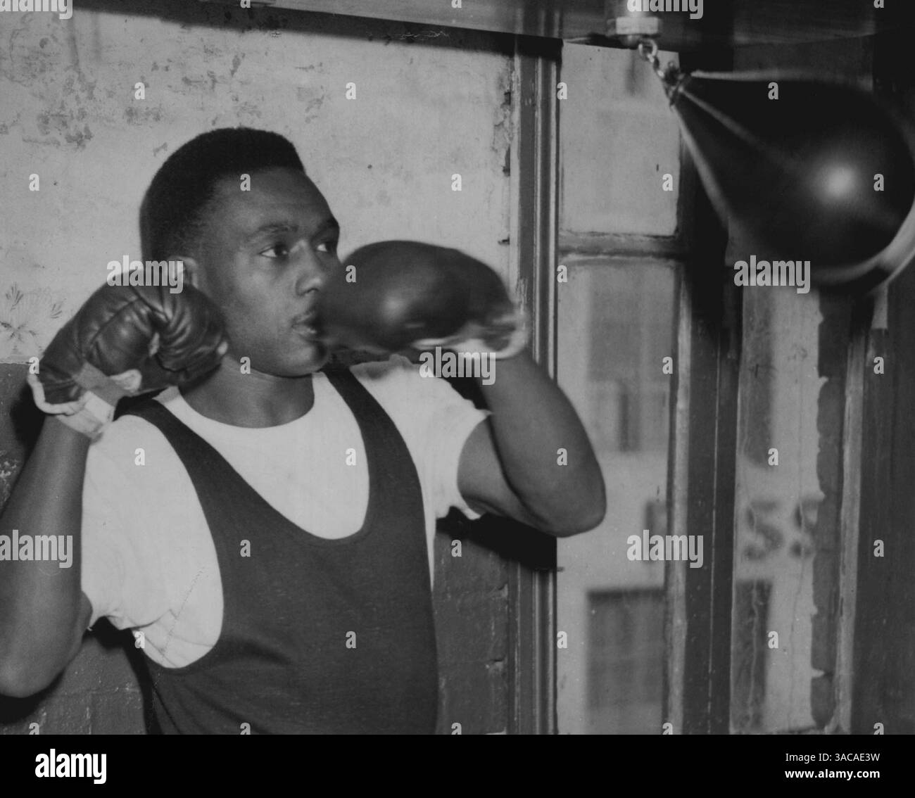 White ring on bill Black and White Stock Photos & Images - Alamy