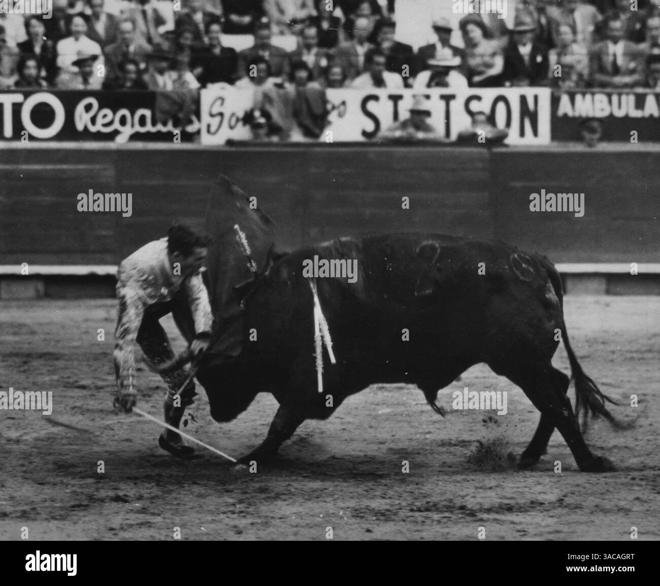 Excellent picture Black and White Stock Photos & Images - Alamy