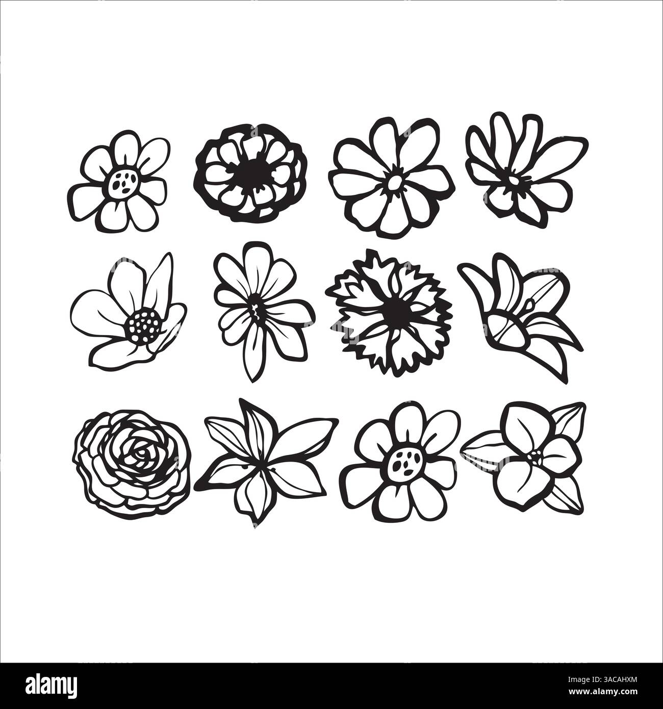 Hand drawn doodle flower set. Vector illustration Stock Vector Image ...