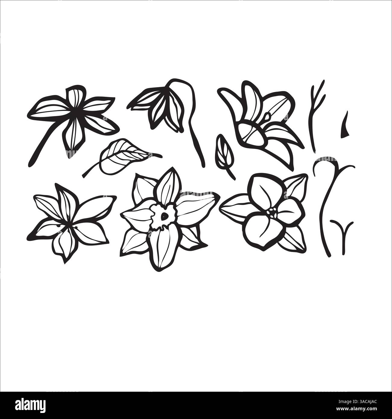 Vector set doodle flowers Black and White Stock Photos & Images - Alamy