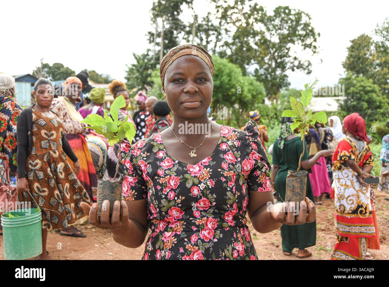 A woman holding tree plants during a tree planting campaign in Handeni ...