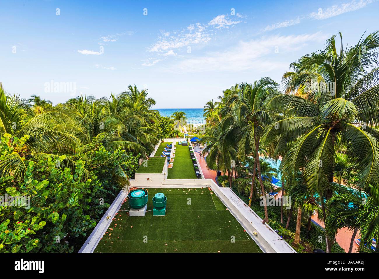 Palm trees and resort garden lead to Atlantic Ocean coast at Miami ...
