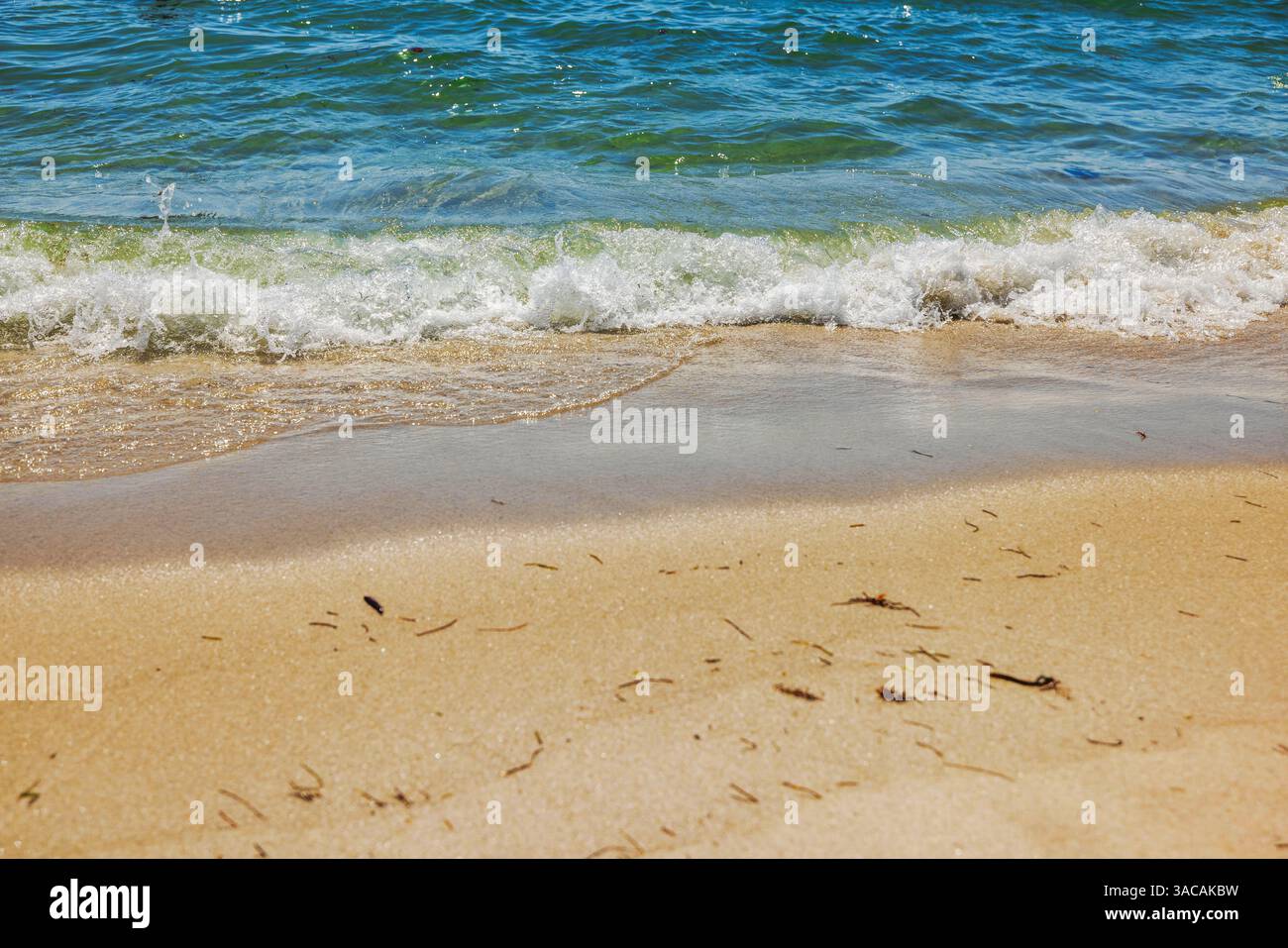 Emerald green wave rolling onto sandy shore of Atlantic Ocean at Miami ...