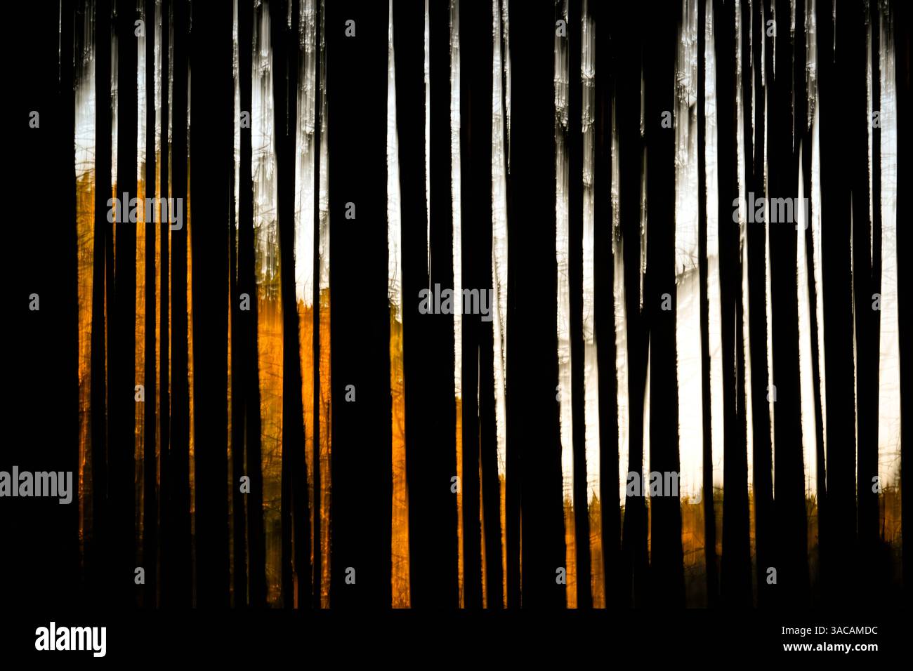 Stuhr, Germany. 03rd Apr, 2025. The setting sun shines through the ...