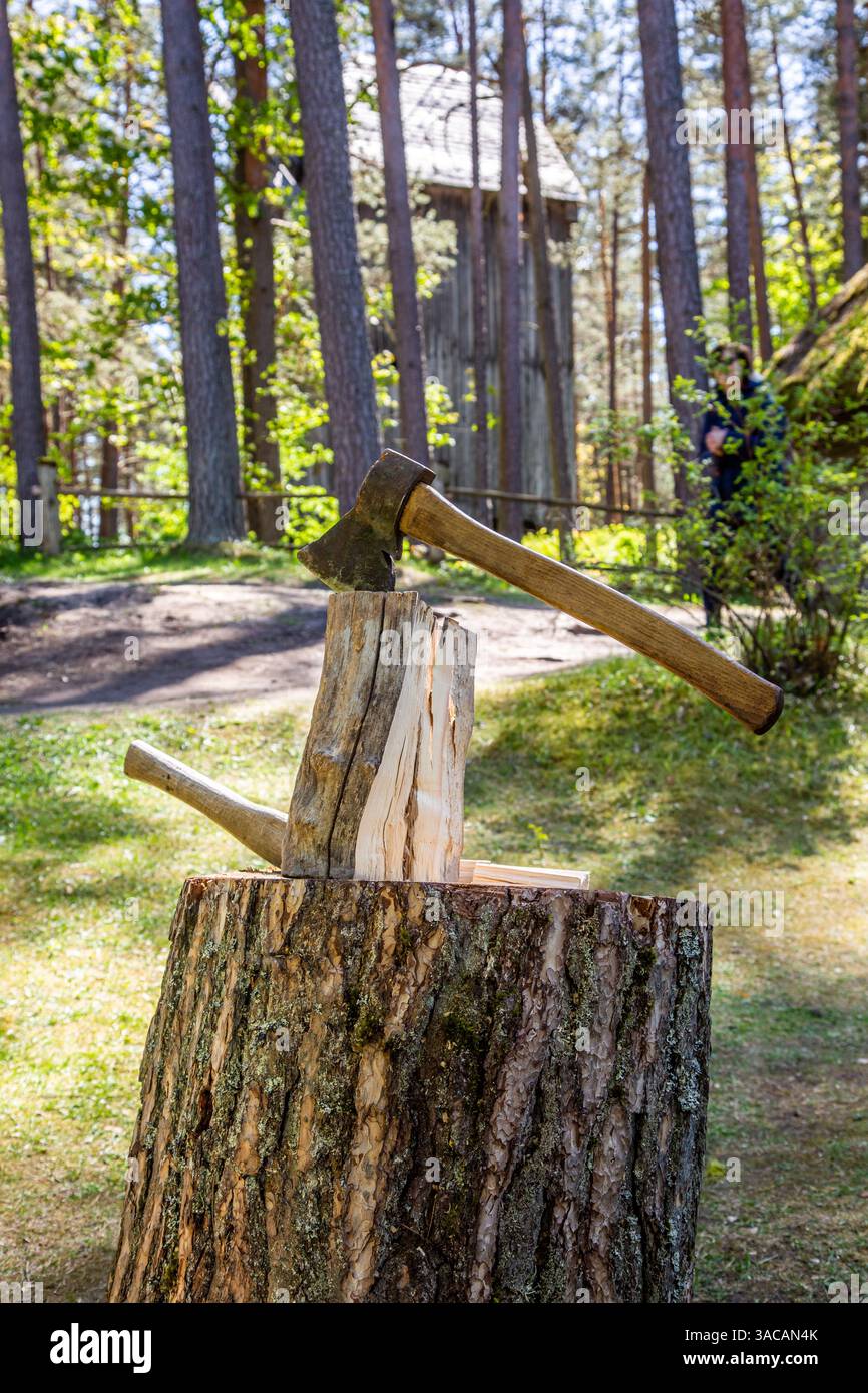 wood cutting with an axe in the forest Stock Photo - Alamy