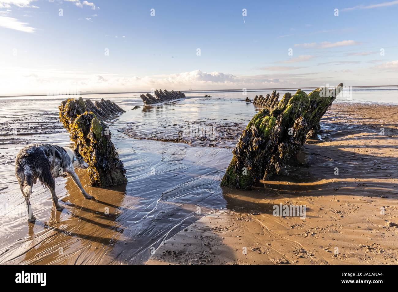 The wreck of the Norwegian ship SS Nornen which ran aground on the ...