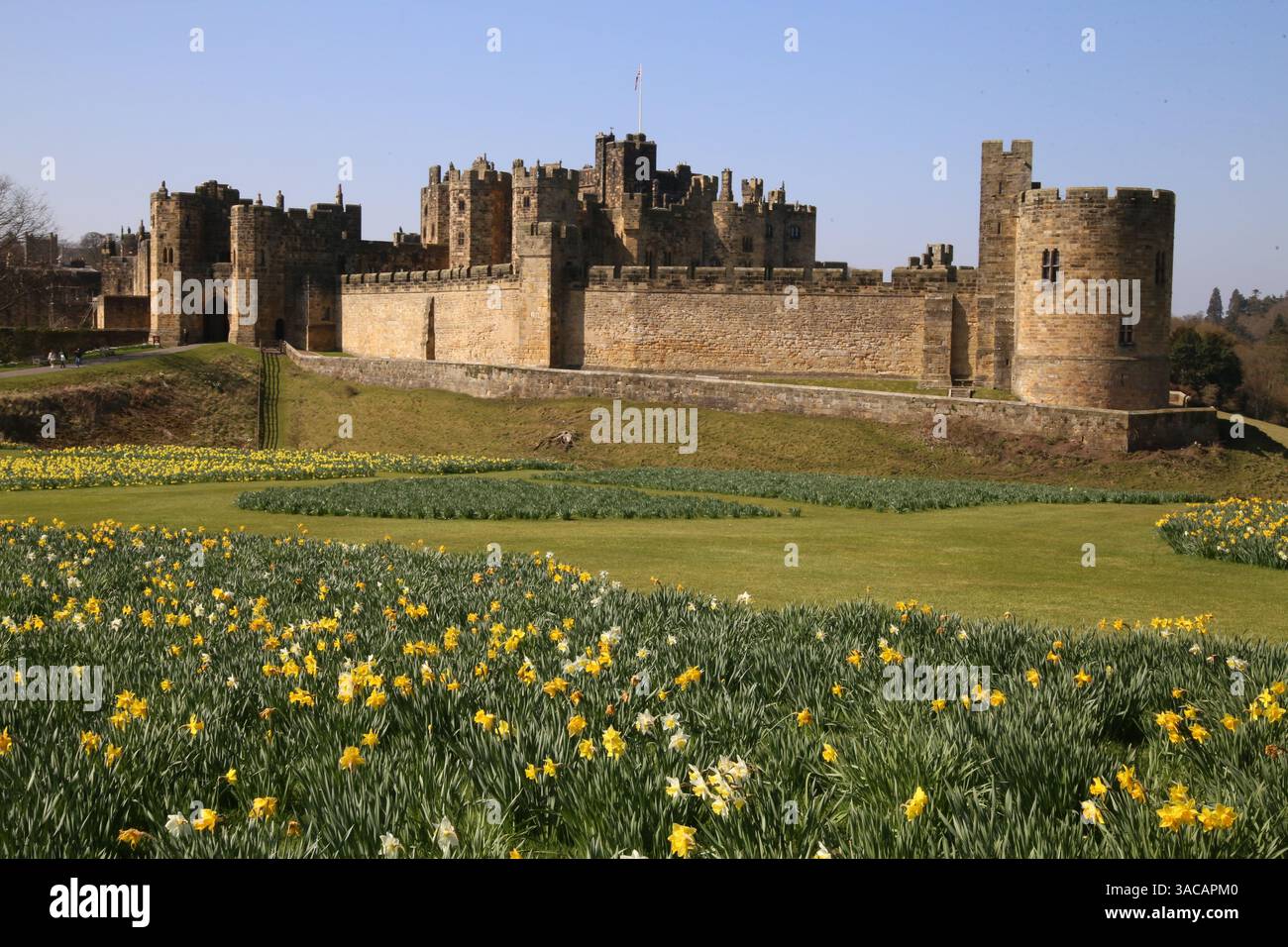 Blackadder robin hood prince of thieves hi-res stock photography and ...