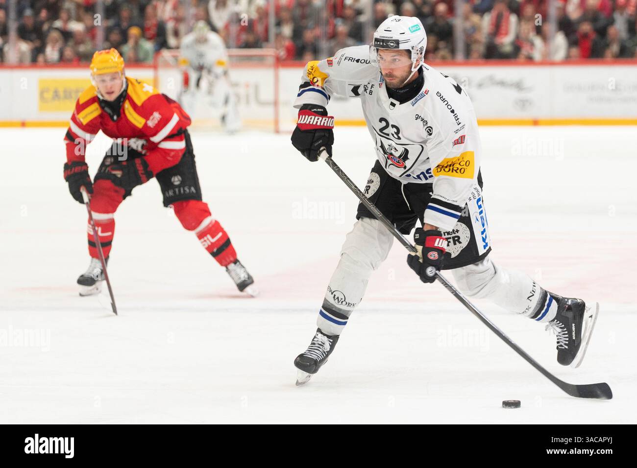 Lausanne, Switzerland. , . Samuel Walser (offense) of HC Fribourg-Gotteron #23 in action during ...